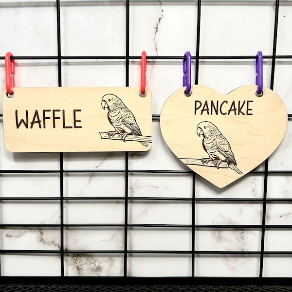 Parrot Decor - Etsy