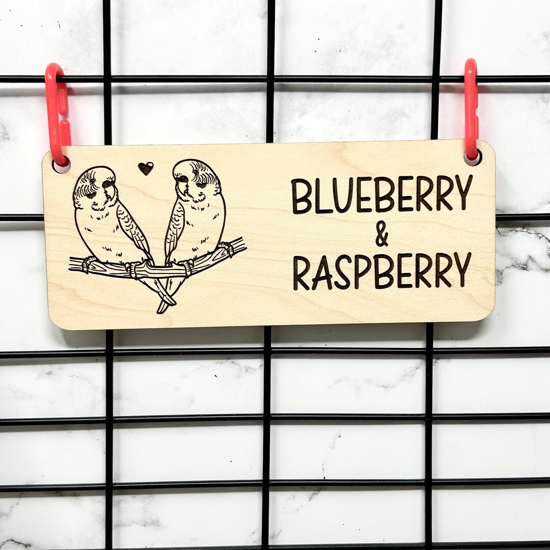 Personalized Parakeet Budgie Name Tag for Two Birds, Custom Engraved ...