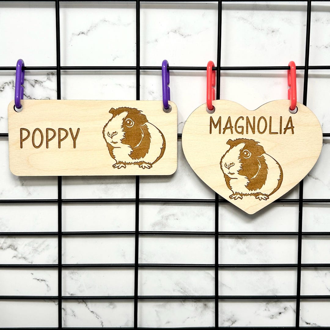 Personalized Guinea Pig Name Sign, Custom Cage Name Tag , Wooden Pet ...