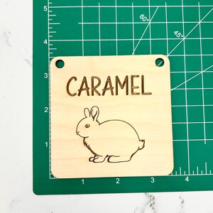 Dwarf Rabbit, Bunny Name Tag, Rabbit Name Tag, Bunny Accessories for ...
