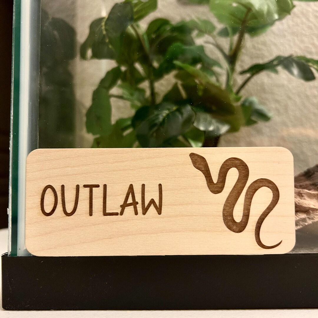 Snake Name Tag, Snake Tank Accessories, Snake Gifts, Snake Tank Decor ...