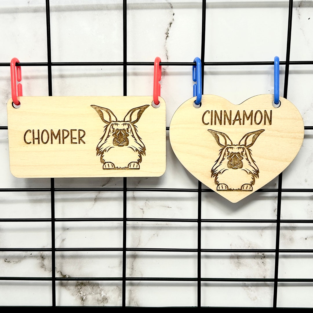 Lionhead Rabbit, Bunny Name Tag, Rabbit Name Tag, Bunny Accessories for ...