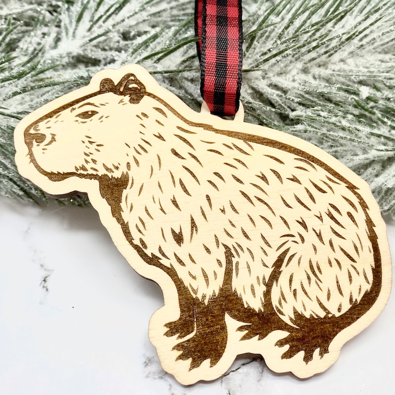 Capybara Merch - Etsy