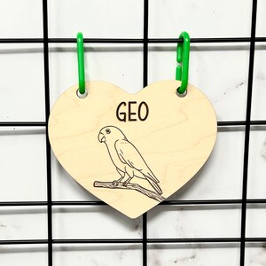 Parrotlet Name Sign, Parrotlet Name Tag, Parrotlet Cage Sign, Parrotlet ...