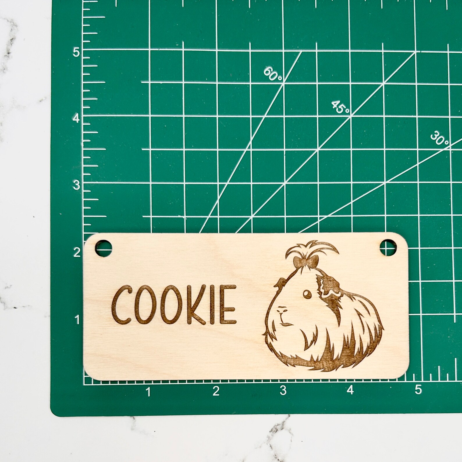Guinea Pig Name Sign, Guinea Pig Name Tag, Guinea Pig Cage Sign, Guinea ...