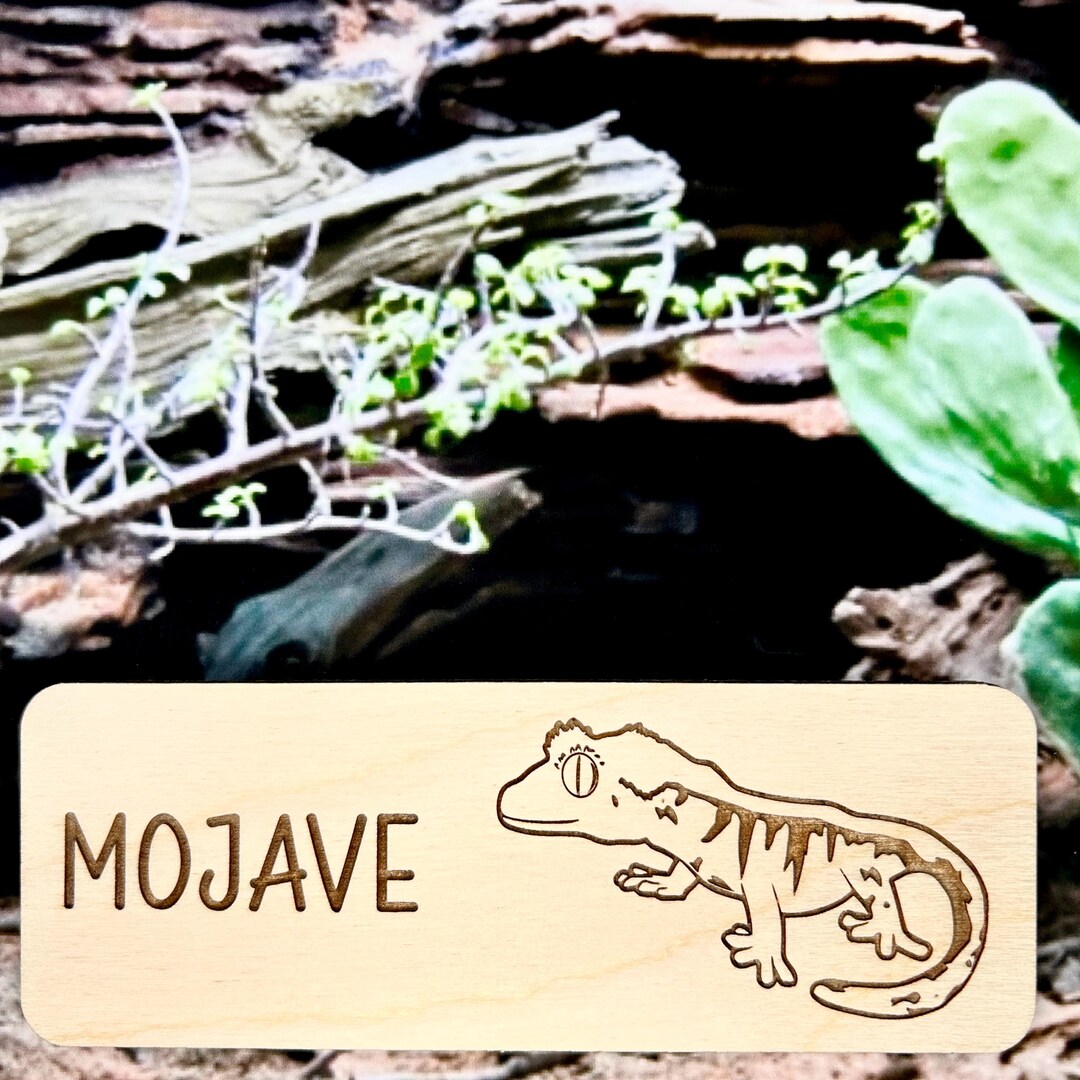 Crested Gecko Tank Decor, Crested Gecko Decor, Crested Gecko ...