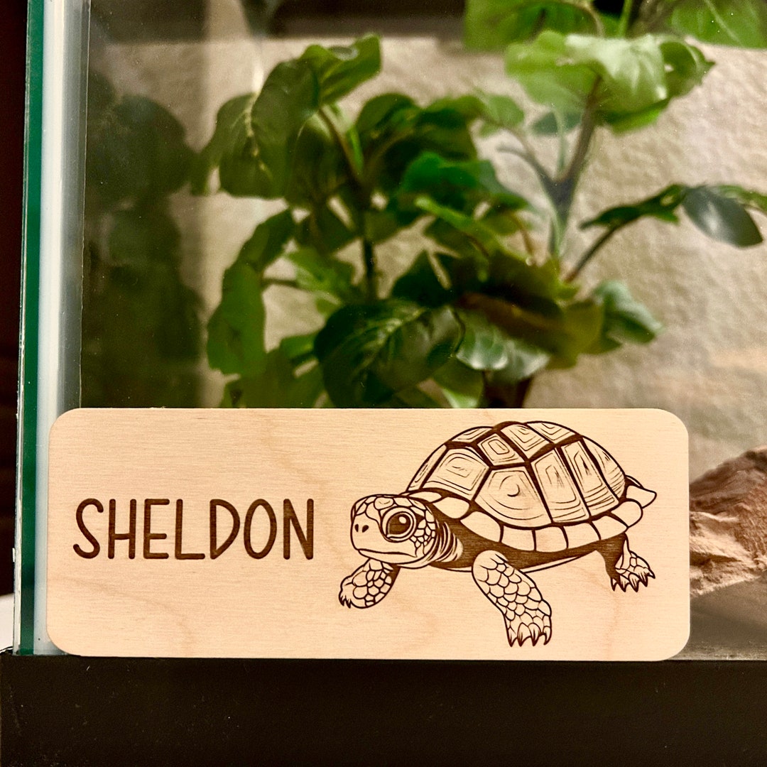 Box Turtle Decor, Turtle Tank Decor, Turtle Tank Accessories, Turtle ...