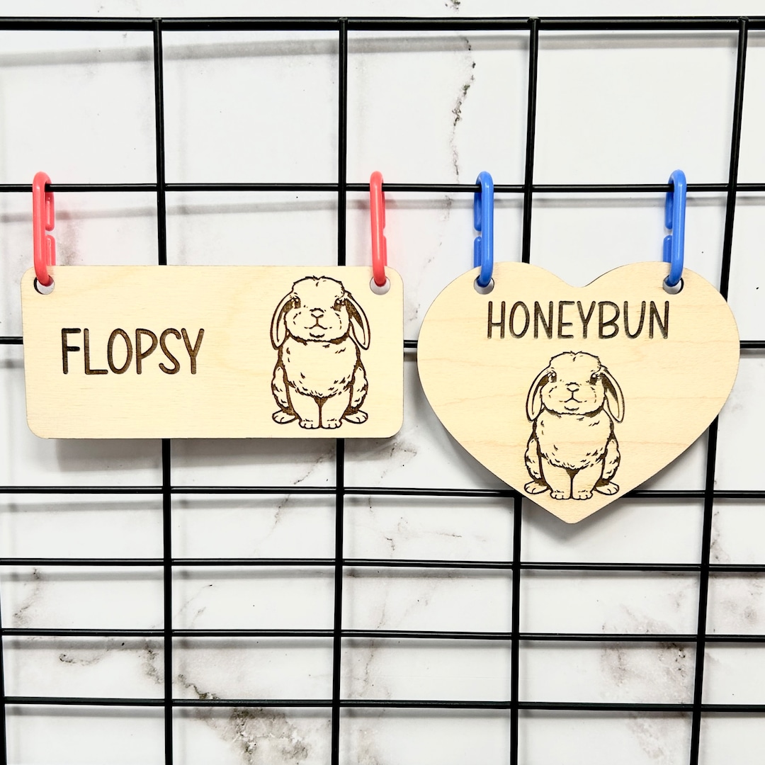 Bunny Name Tag, Rabbit Name Tag, Bunny Accessories for Rabbits, Cage ...