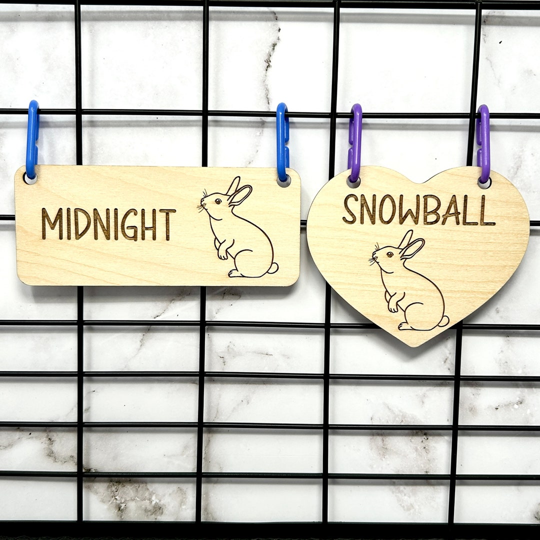 Bunny Name Tag, Rabbit Name Tag, Bunny Accessories for Rabbits, Cage ...