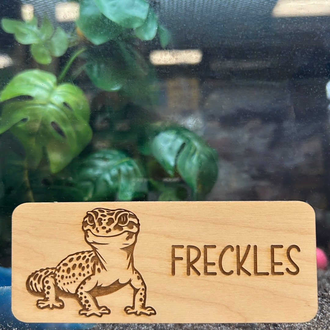 Leopard Gecko Tank Decor, Leopard Gecko Accessories, Leopard Gecko Tank ...