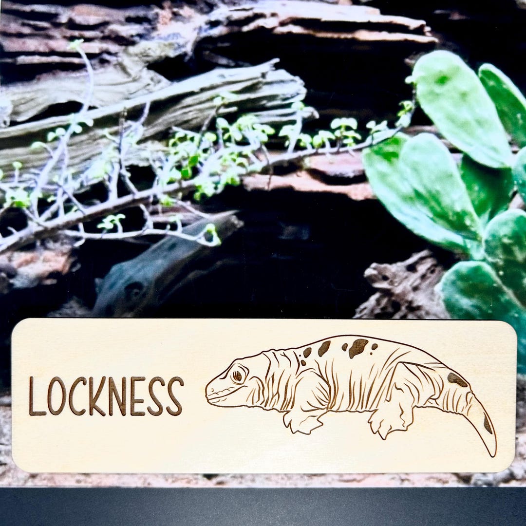 Leachie Gecko Tank Decor, Leachie Gecko Accessories, Leachie Gift ...