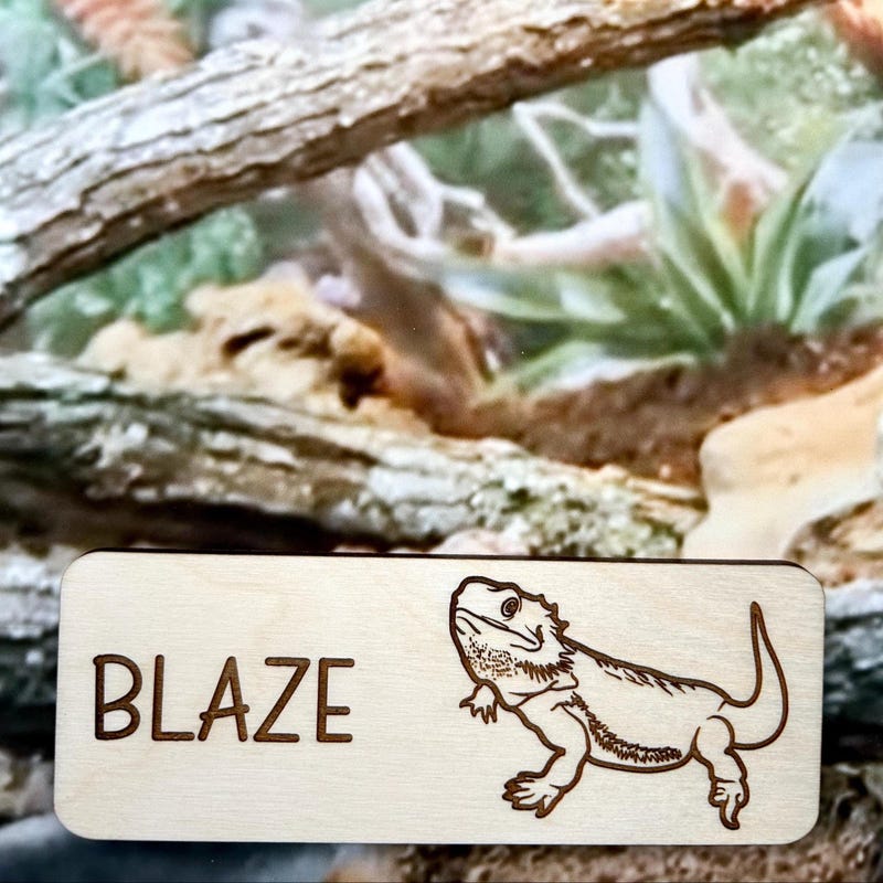 Bearded Dragon Gifts - 60+ Gift Ideas for 2026