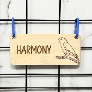 Parrotlet Name Sign, Parrotlet Name Tag, Parrotlet Cage Sign, Parrotlet ...