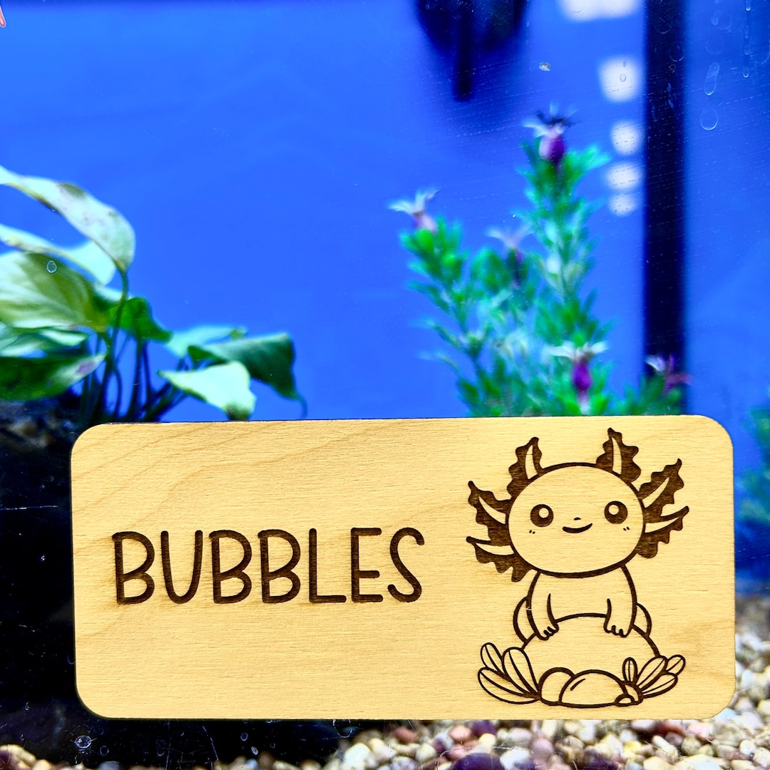 Axolotl Name Sign, Axolotl Tank Decor, Axolotl Tank Accessories ...