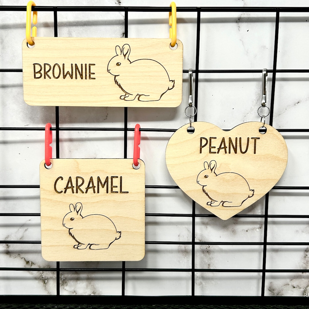 Dwarf Rabbit, Bunny Name Tag, Rabbit Name Tag, Bunny Accessories for ...