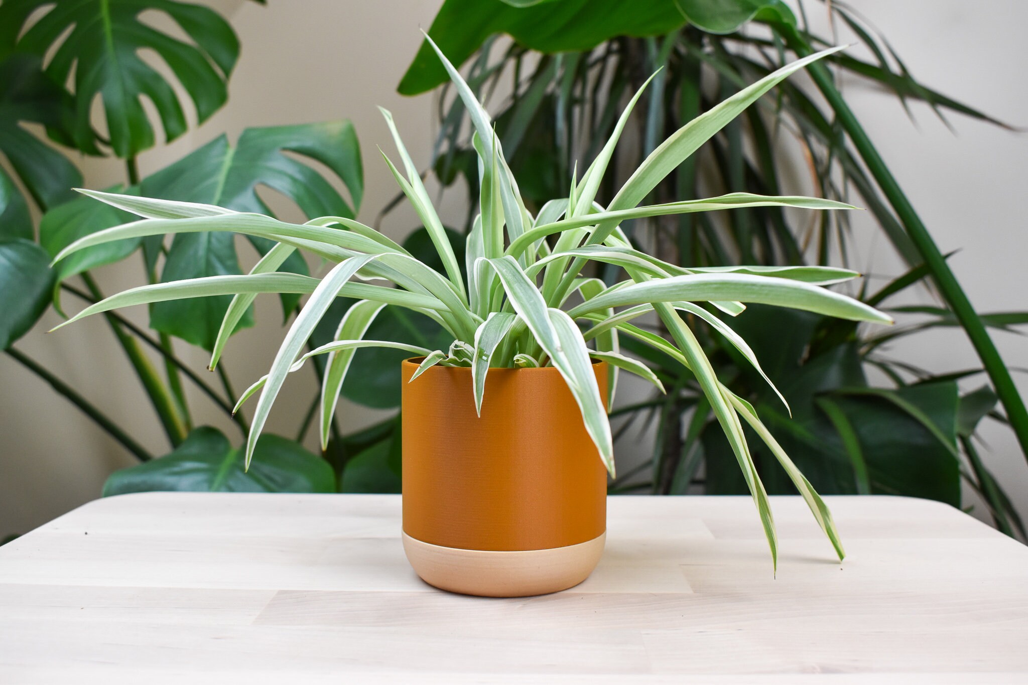 The Coloured Classic Pot/ Planter with Drainage removable | Etsy