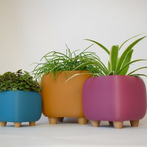 Rounded Cube Pot planter pot with feet coloured pot indoor | Etsy