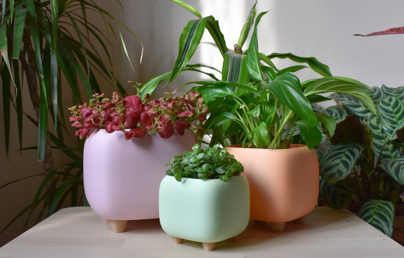 Pastel Coloured Rounded Cube Pot Planter Pot With Feet - Etsy