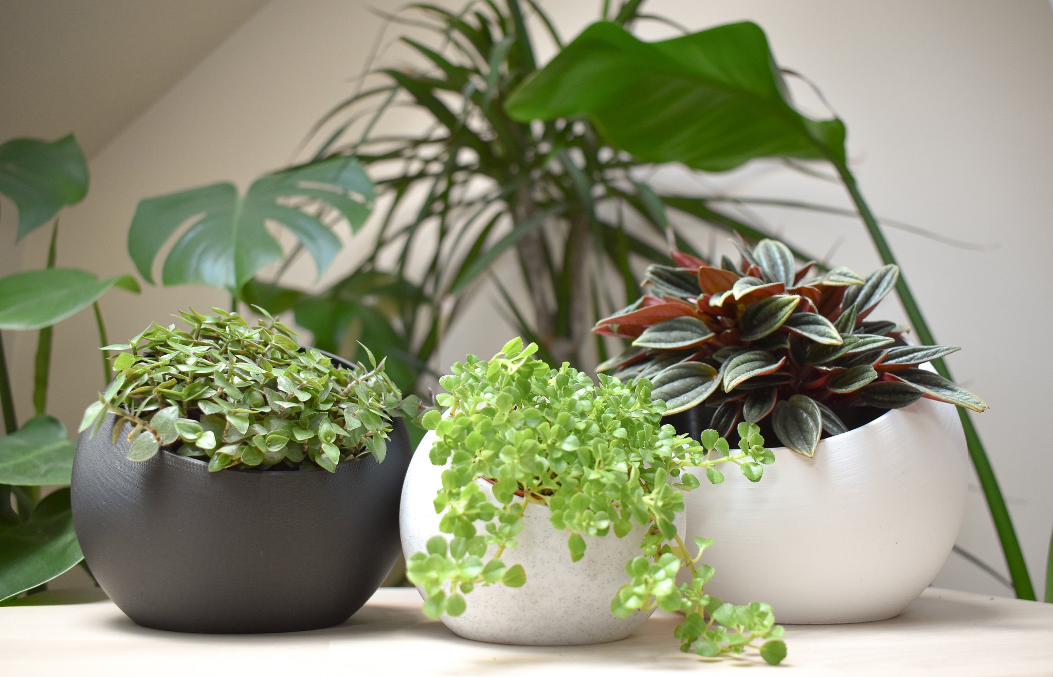 Tilted Sphere Planter rounded pot indoor plant pot modern | Etsy