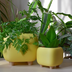 Pastel Coloured, Rounded Cube Pot, Planter, Pot With Feet, Coloured Pot ...