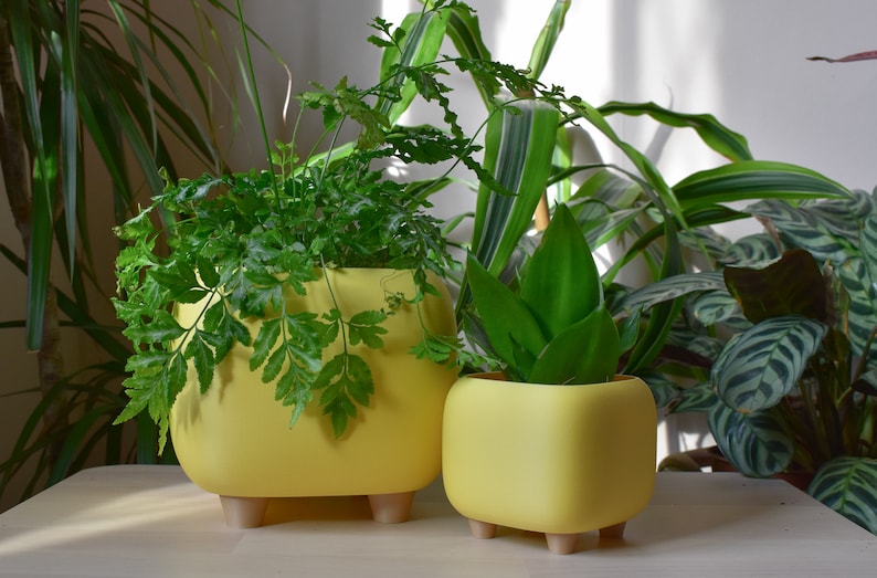 Pastel Coloured Rounded Cube Pot Planter Pot With Feet - Etsy