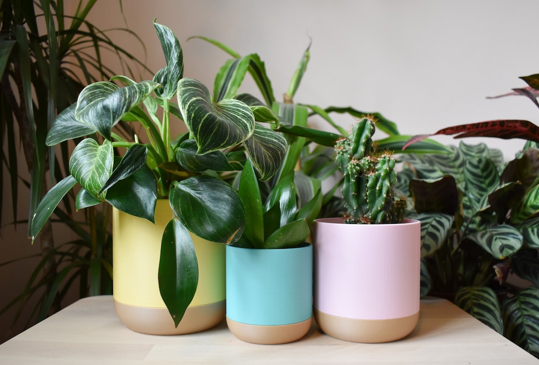 Pastel Coloured Classic, Pot/ Planter With Drainage, Removable Dish ...