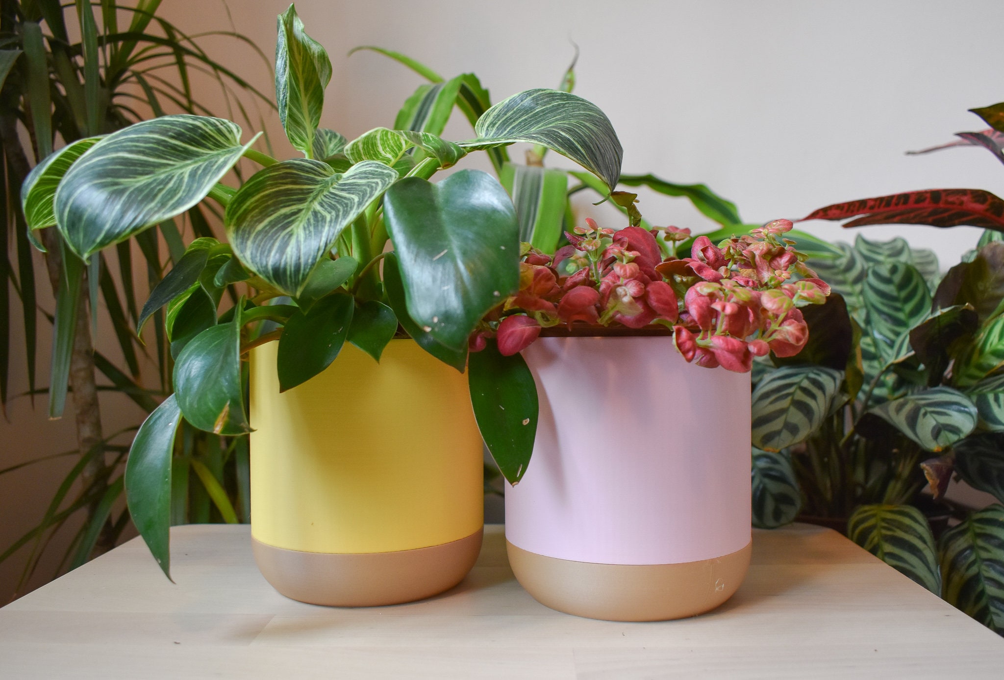 Pastel Coloured Classic Pot/ Planter With Drainage Removable - Etsy UK