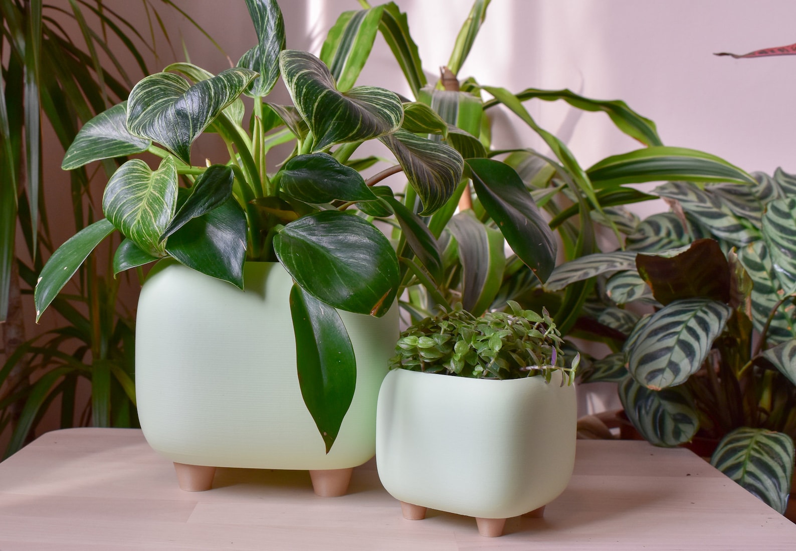Pastel Coloured Rounded Cube Pot Planter Pot With Feet - Etsy
