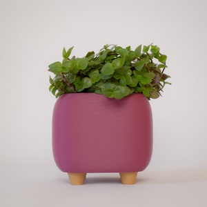 Rounded Cube Pot planter pot with feet coloured pot indoor | Etsy