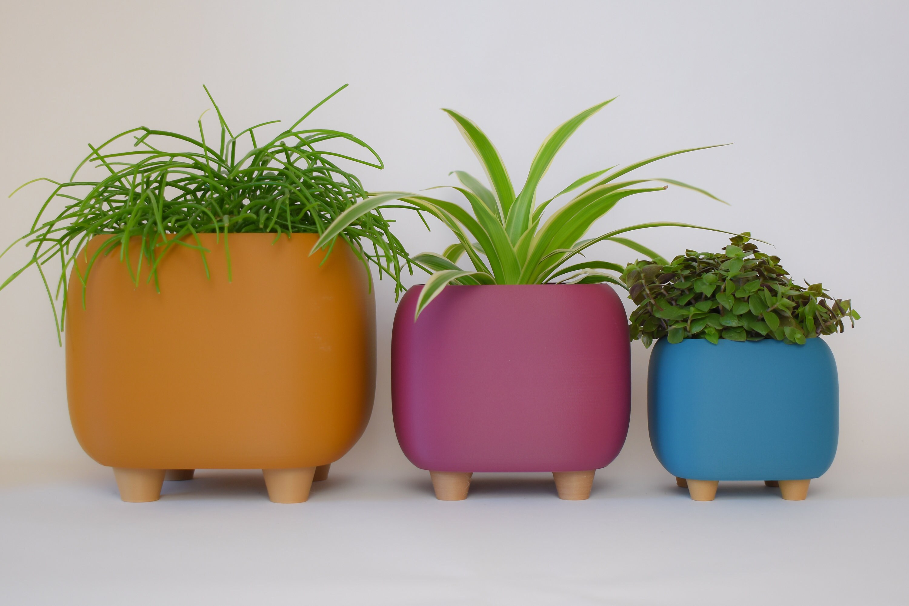 Rounded Cube Pot planter pot with feet coloured pot indoor | Etsy