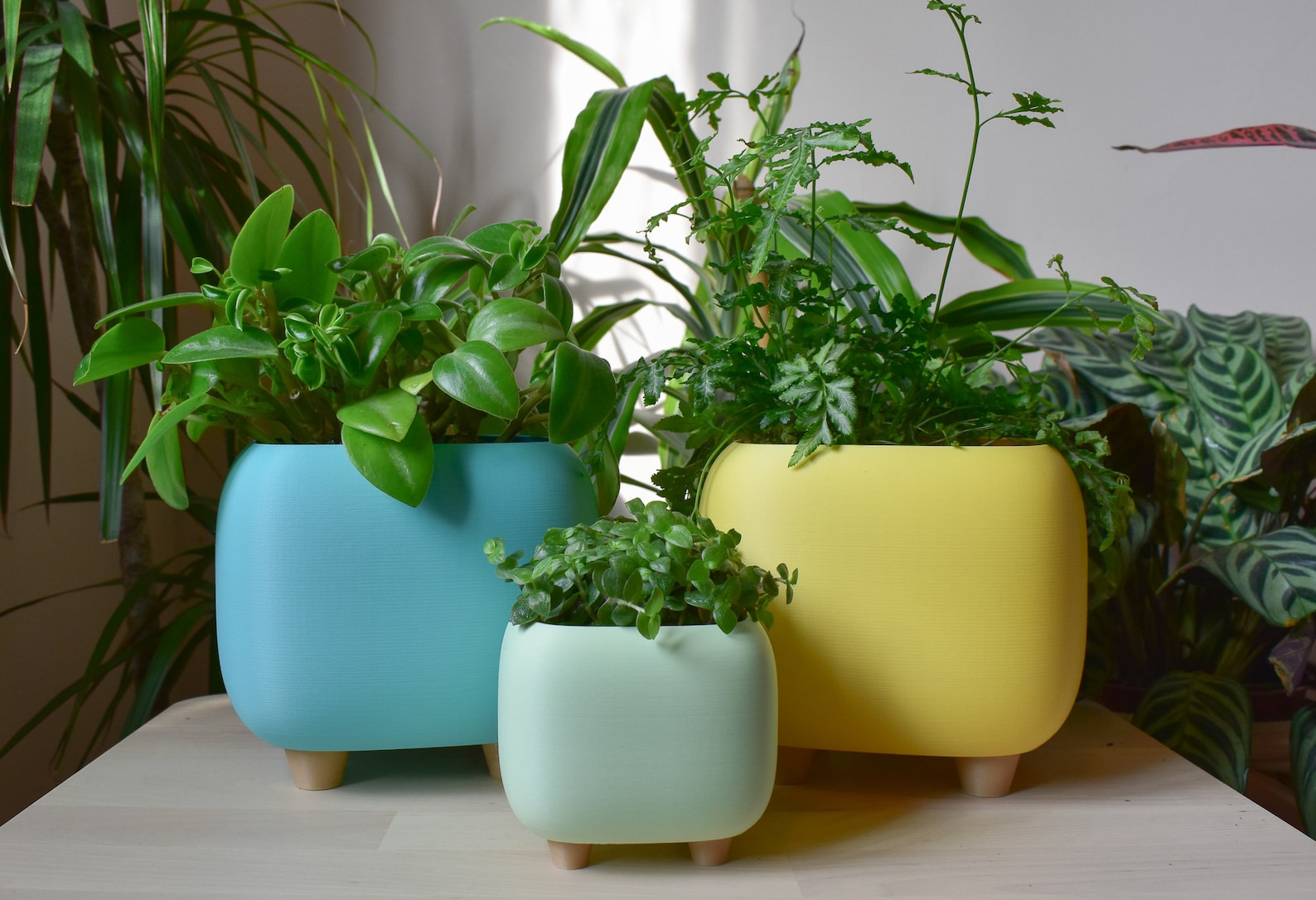 Pastel Coloured Rounded Cube Pot Planter Pot With Feet - Etsy