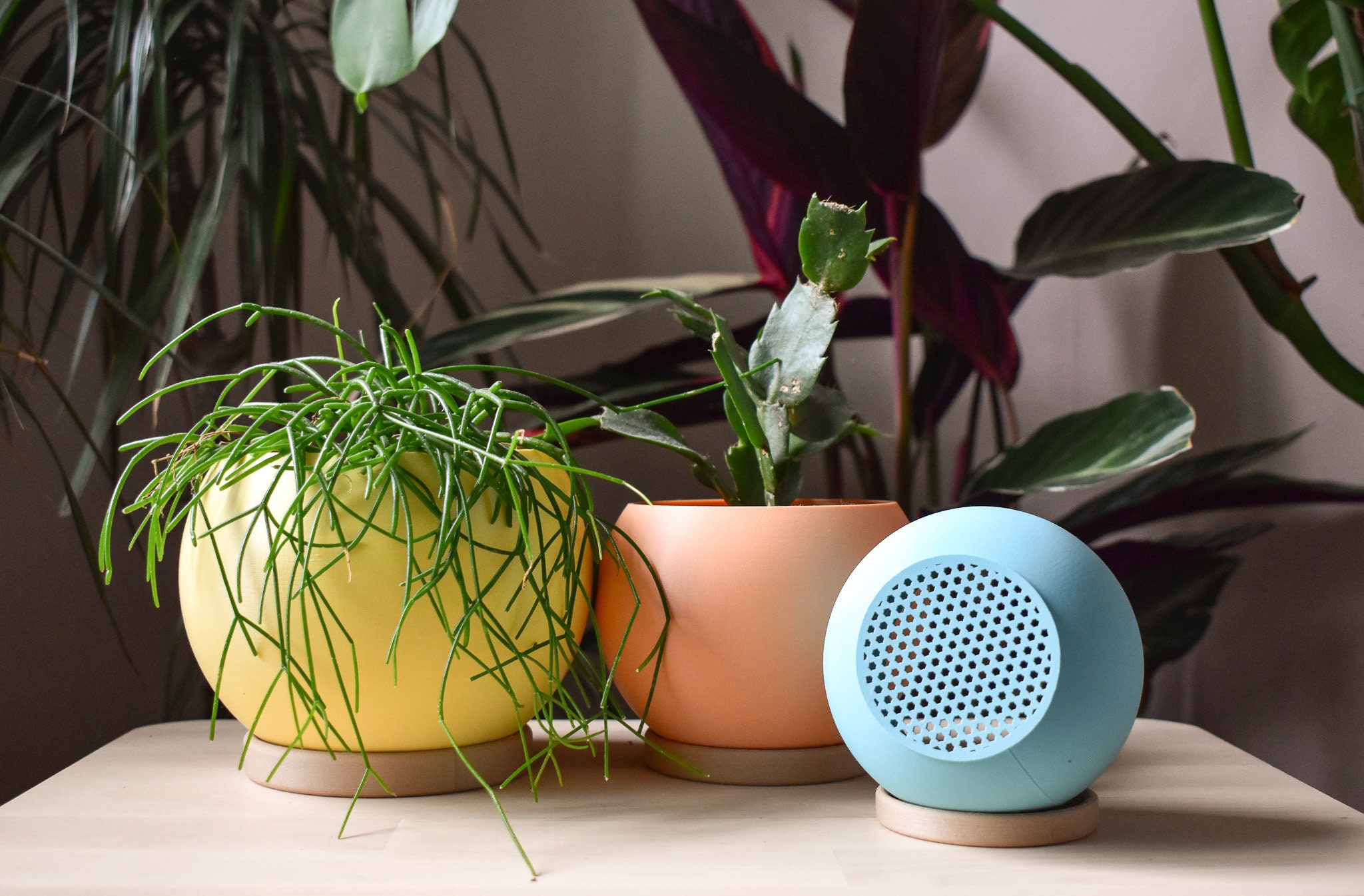 Pastel Coloured Sphere Planter/pot Plant Pot With Drainage - Etsy UK