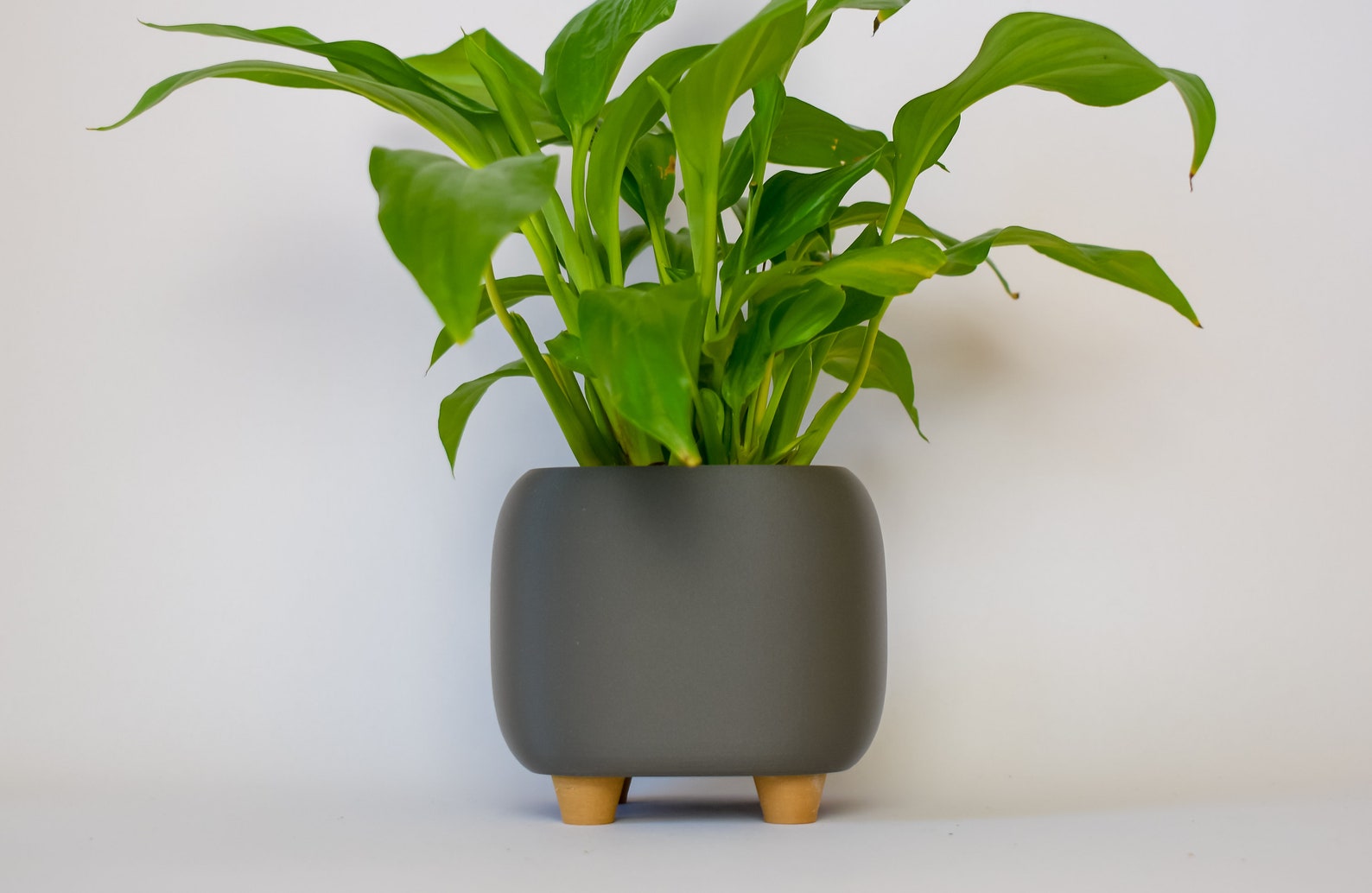 Rounded Cube Pot planter pot with feet coloured pot indoor | Etsy