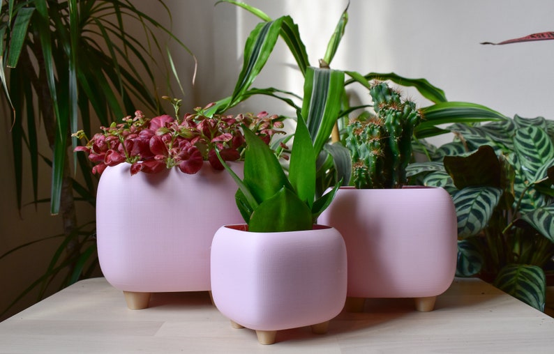 Pastel Coloured Rounded Cube Pot Planter Pot With Feet - Etsy