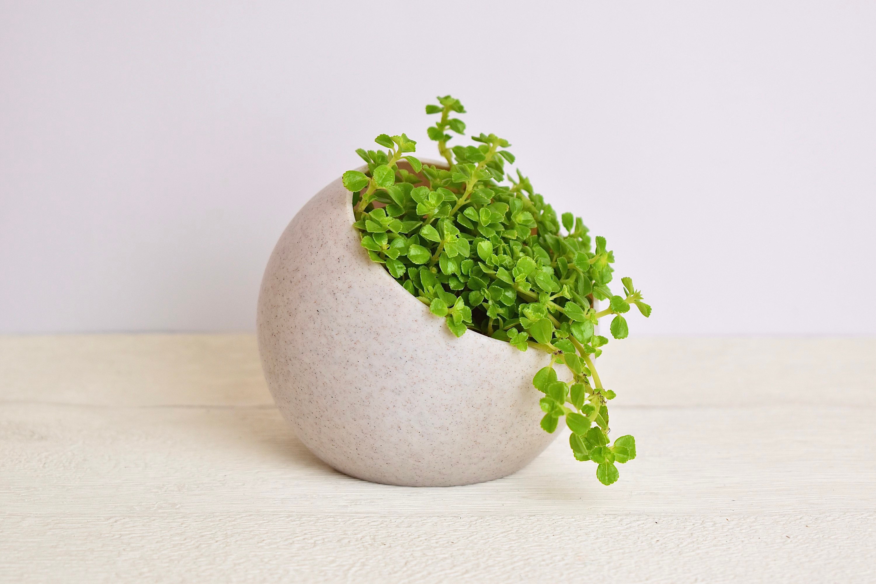 Tilted Sphere Planter Rounded Pot Indoor Plant Pot Modern | Etsy UK