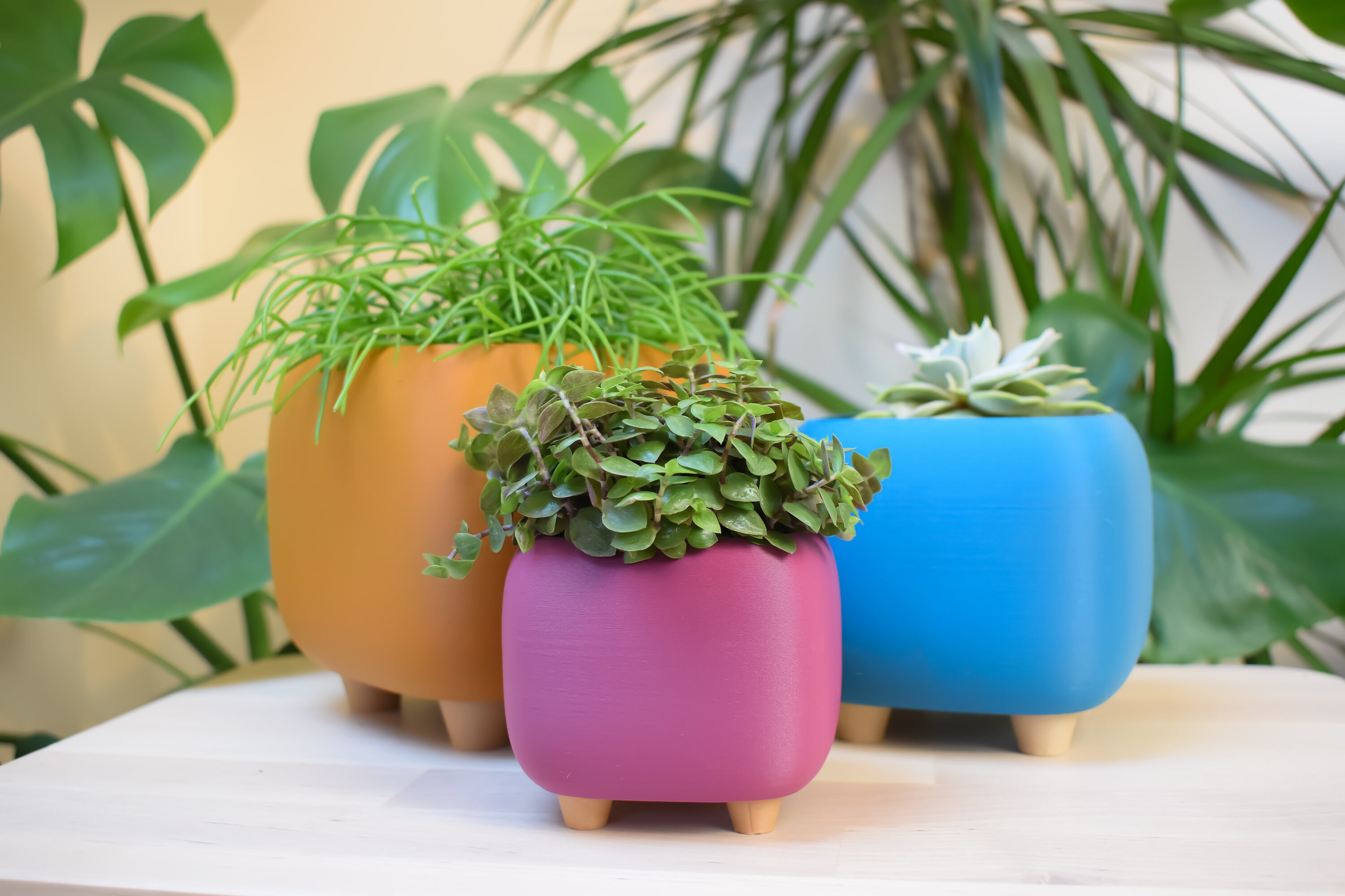 Rounded Cube Pot planter pot with feet coloured pot indoor | Etsy