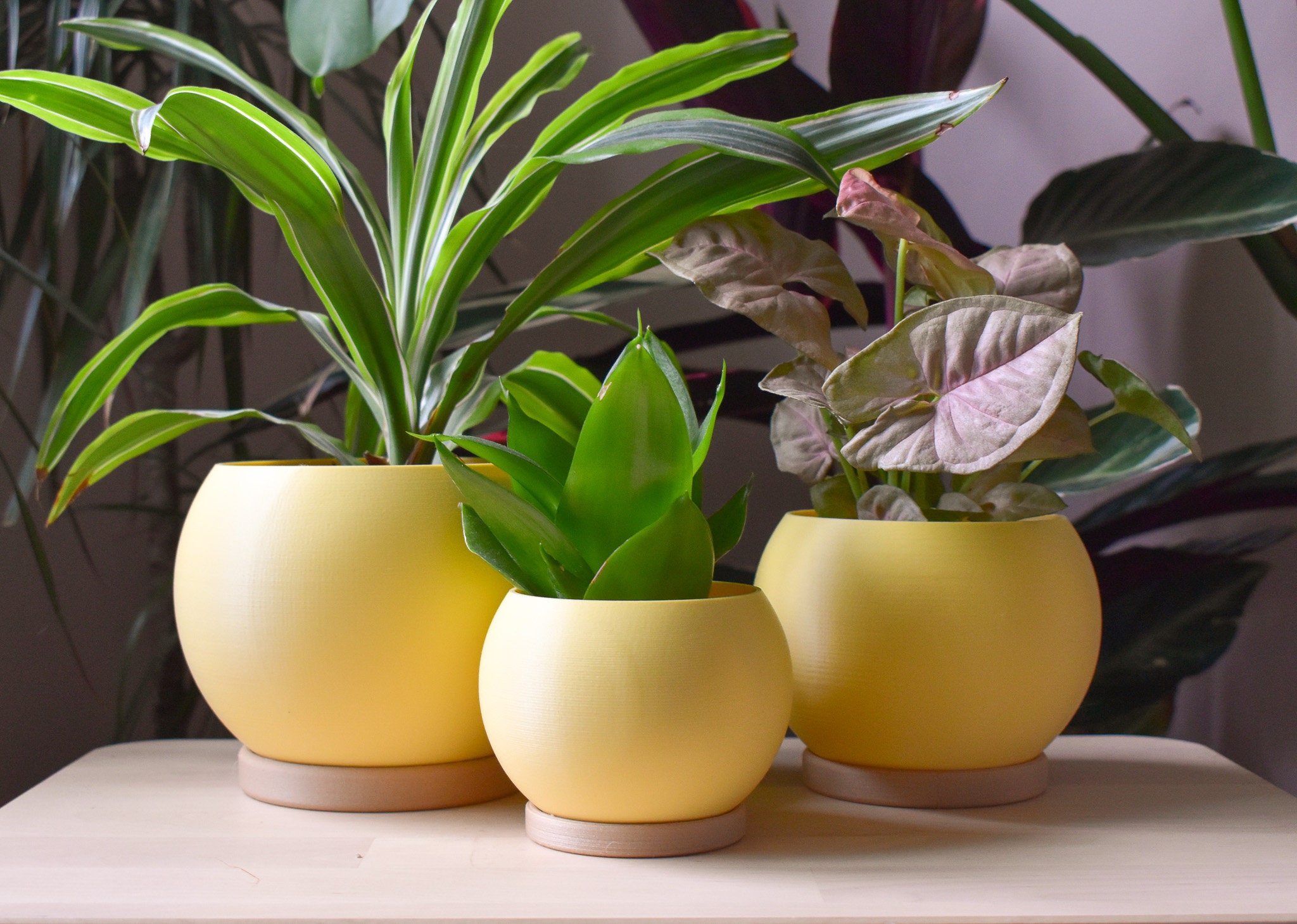 Pastel Coloured Sphere Planter/pot Plant Pot With Drainage - Etsy UK