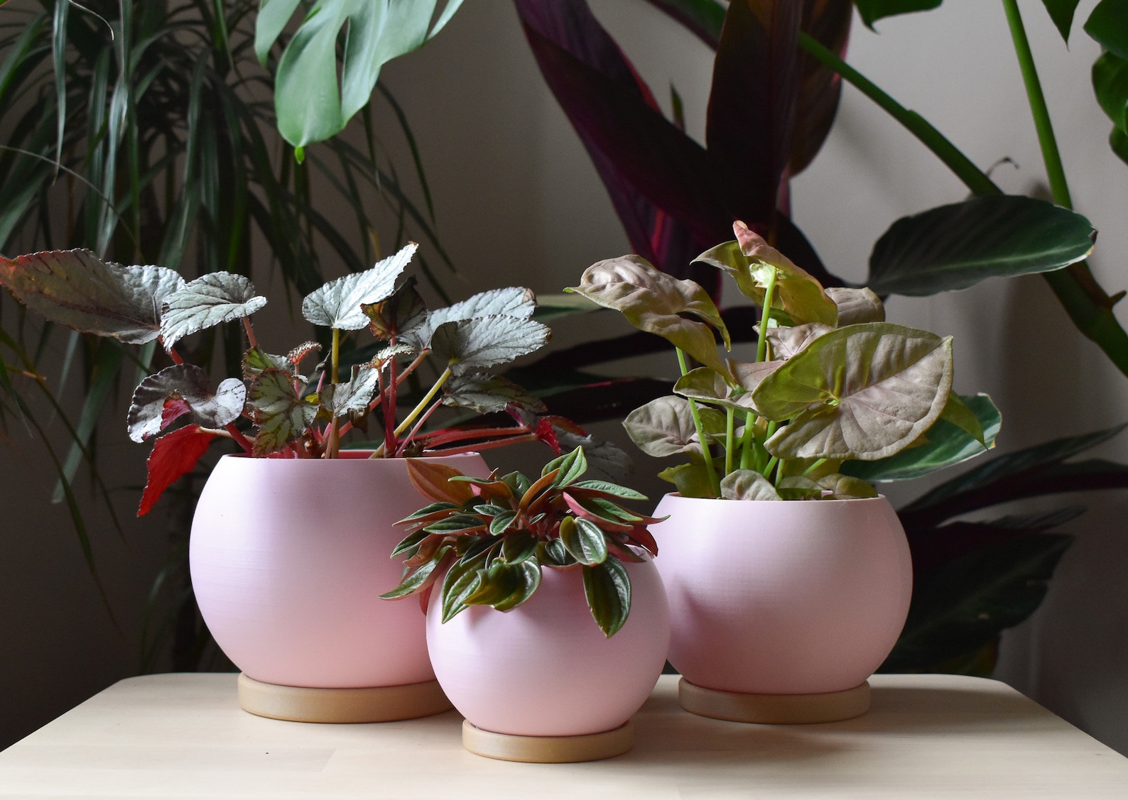 Pastel Coloured Sphere Planter/pot Plant Pot With Drainage - Etsy UK