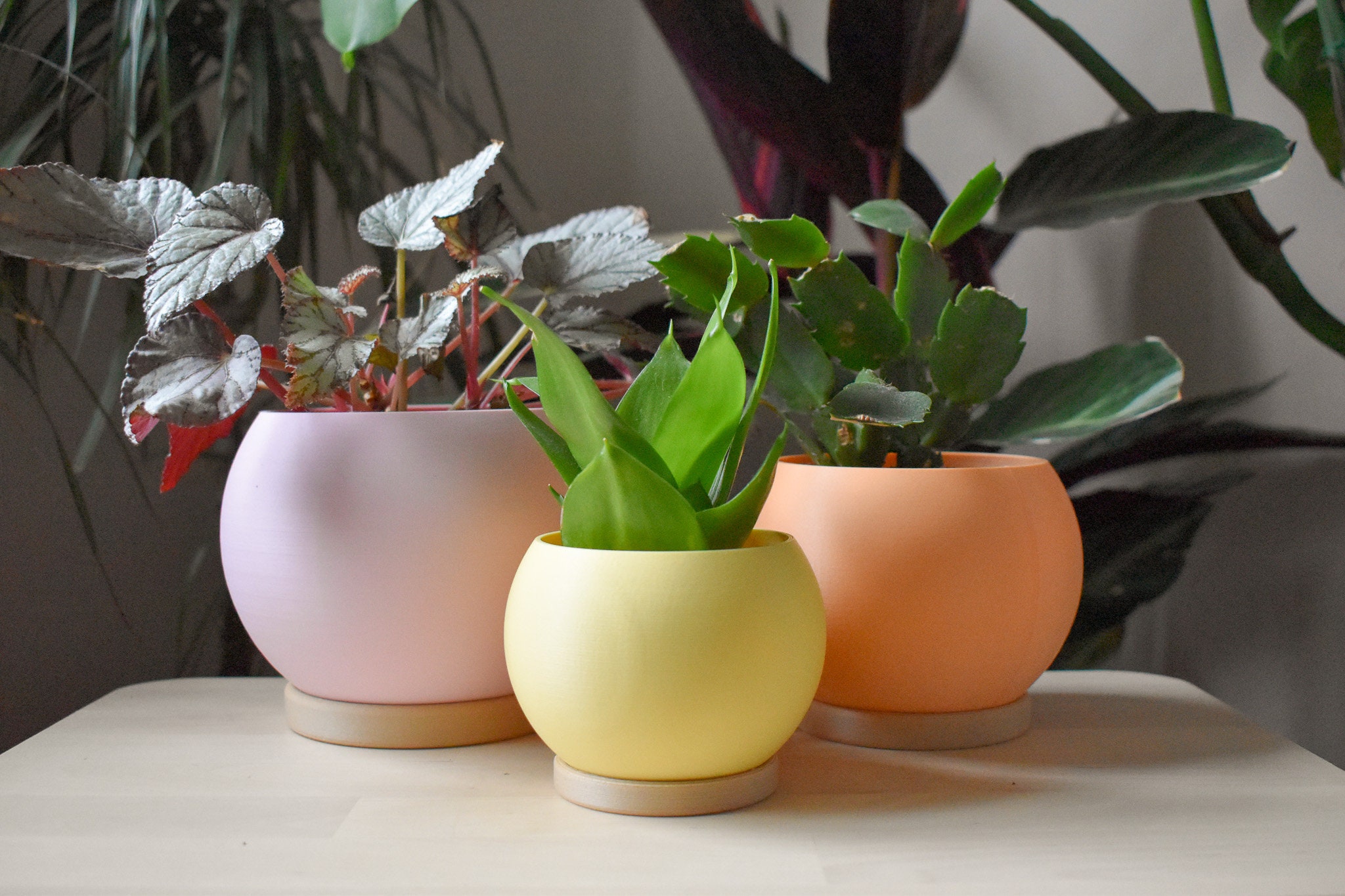 Pastel Coloured Sphere Planter/pot Plant Pot With Drainage - Etsy UK