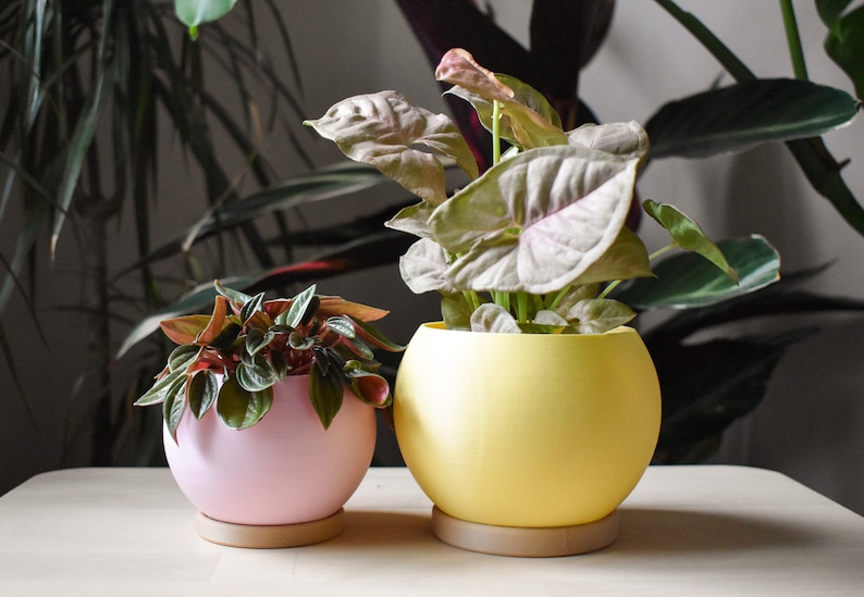 Pastel Coloured Sphere Planter/pot Plant Pot With Drainage - Etsy UK