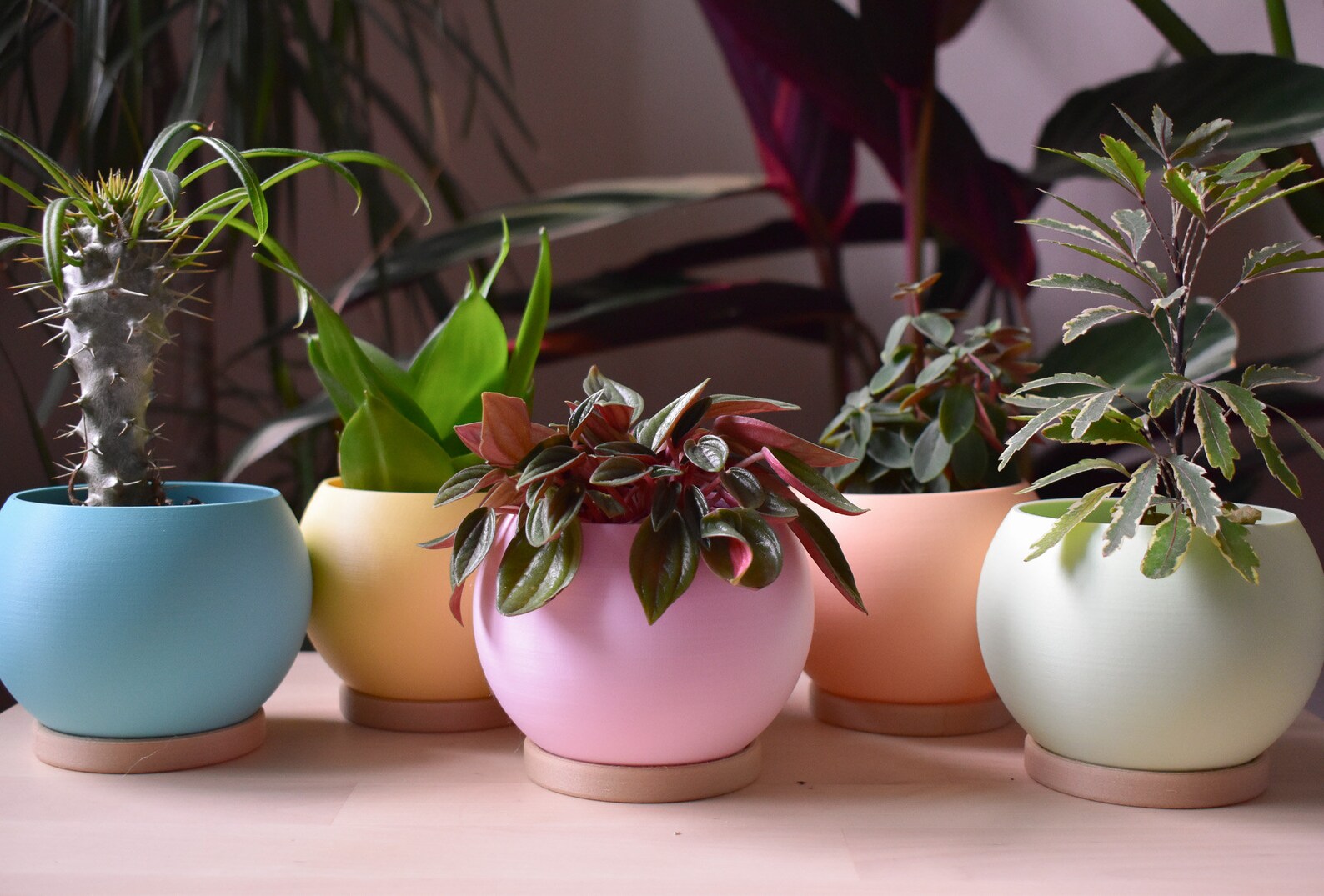 Pastel Coloured Sphere Planter/pot Plant Pot With Drainage - Etsy UK