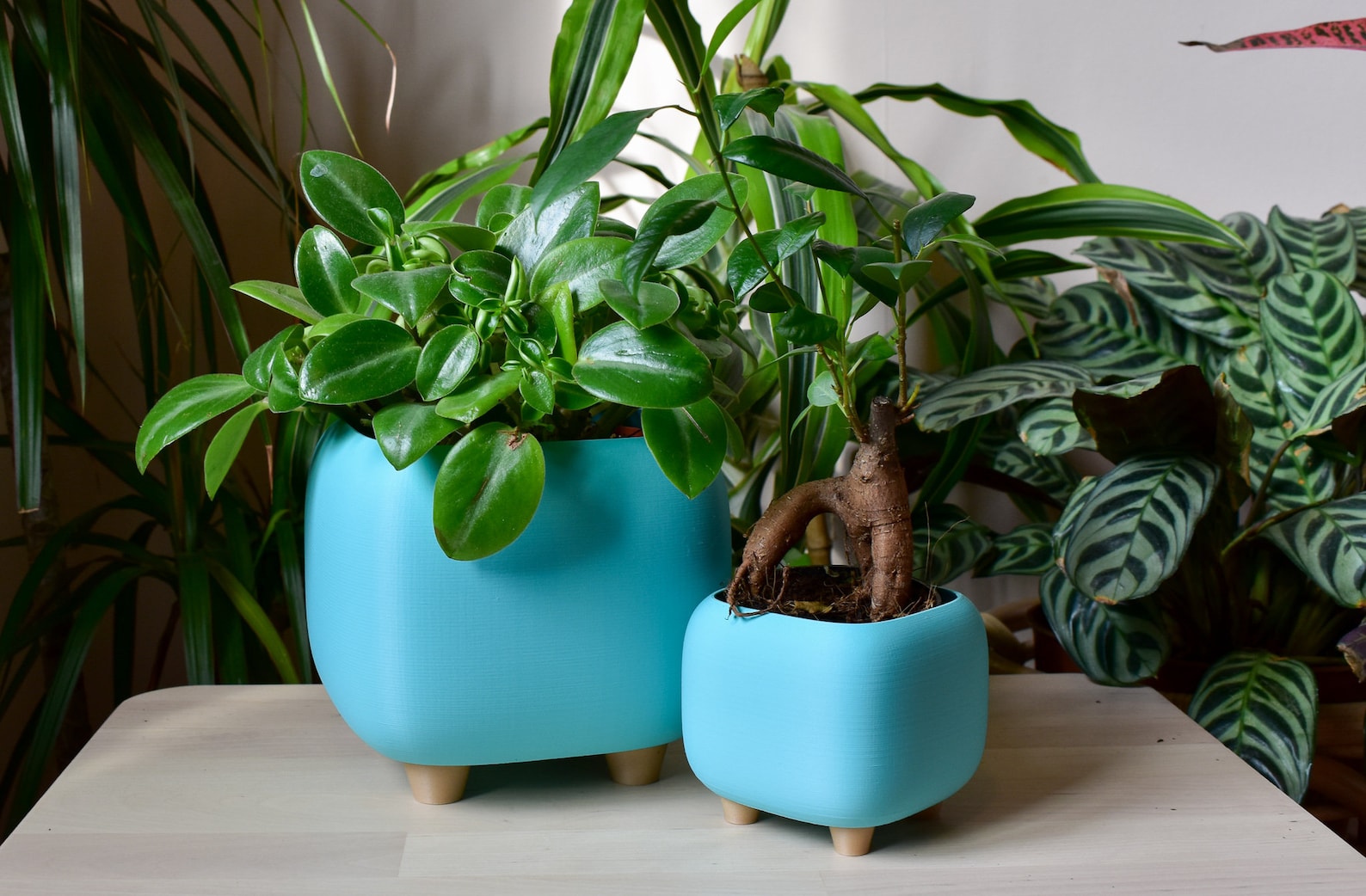Pastel Coloured Rounded Cube Pot Planter Pot With Feet - Etsy