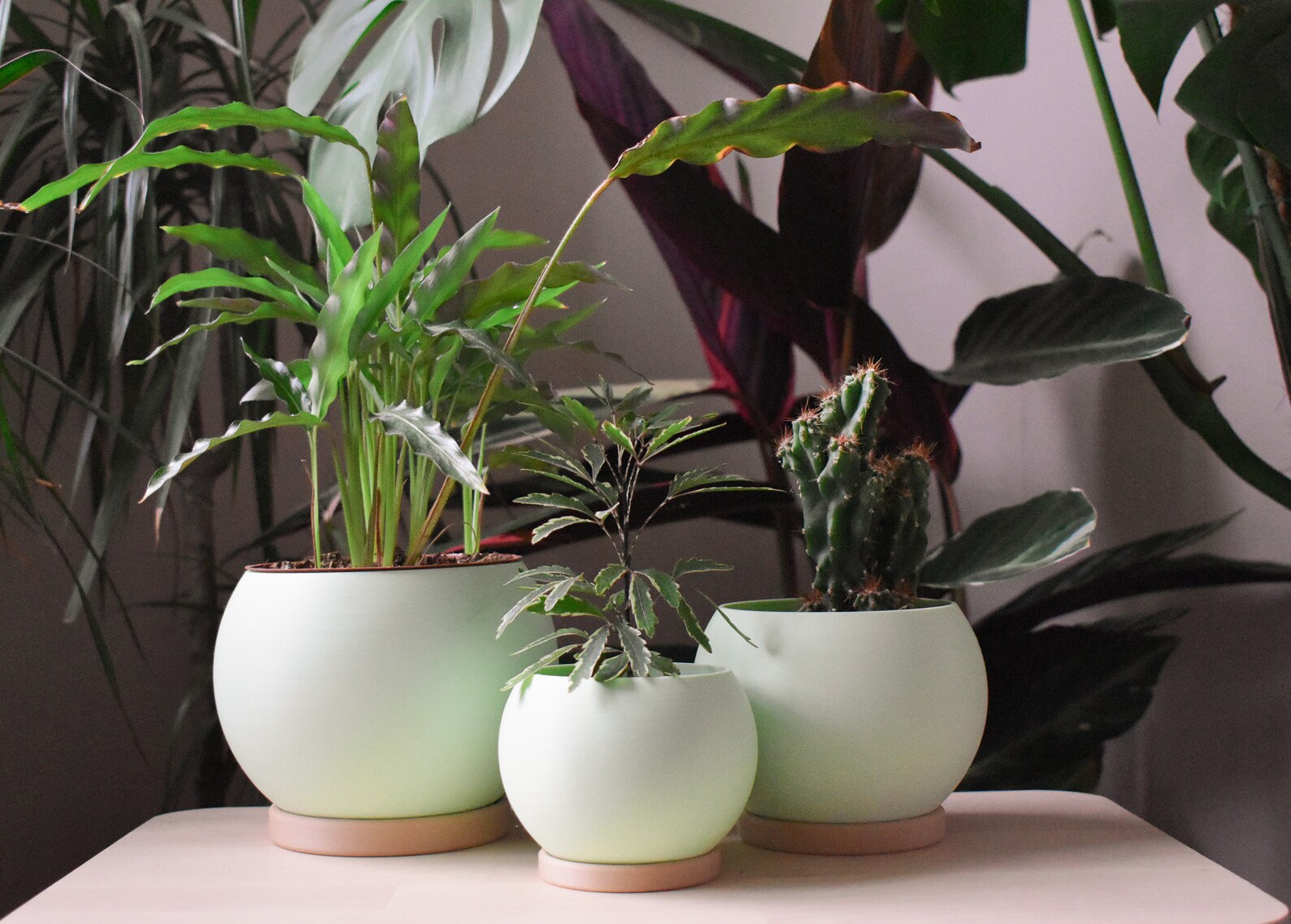 Pastel Coloured Sphere Planter/pot Plant Pot With Drainage - Etsy UK