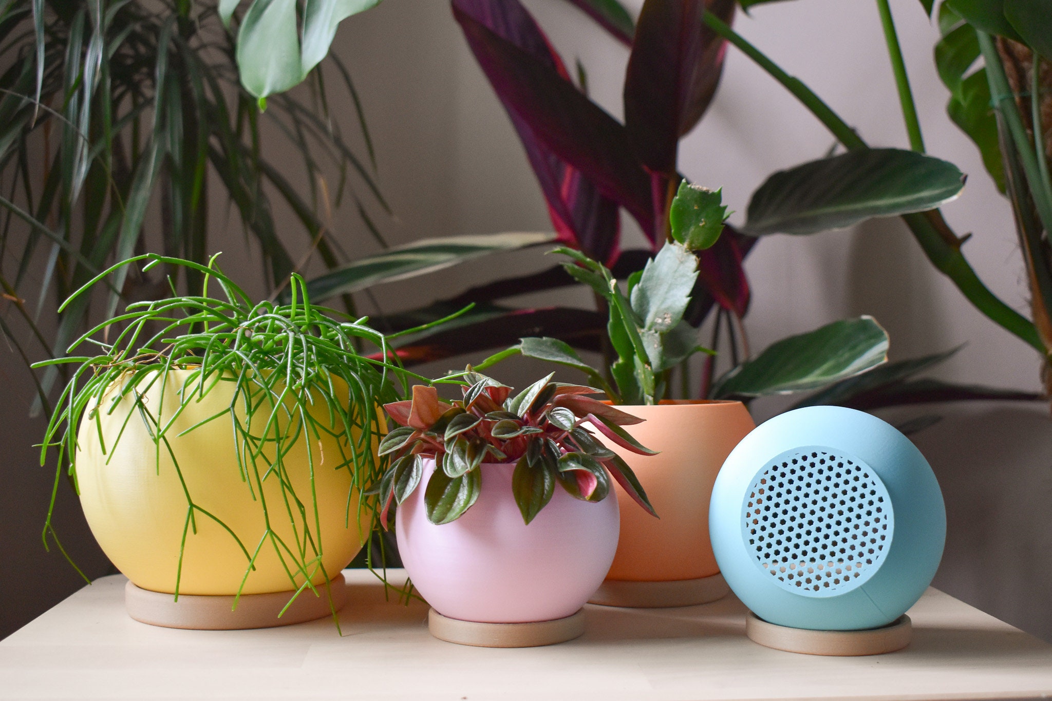 Pastel Coloured Sphere Planter/pot Plant Pot With Drainage - Etsy UK