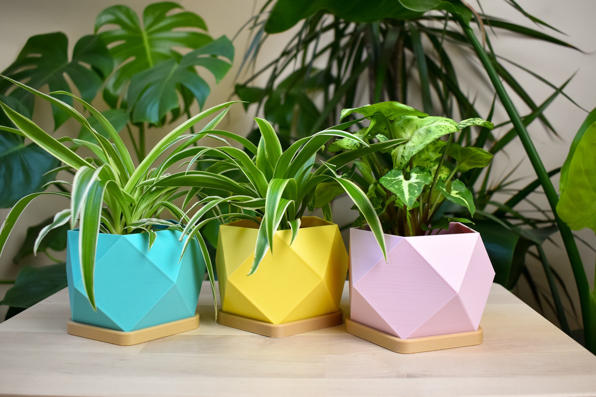 Geometric Pot With Drainage and Wooden Styled Dish. Planter - Etsy UK