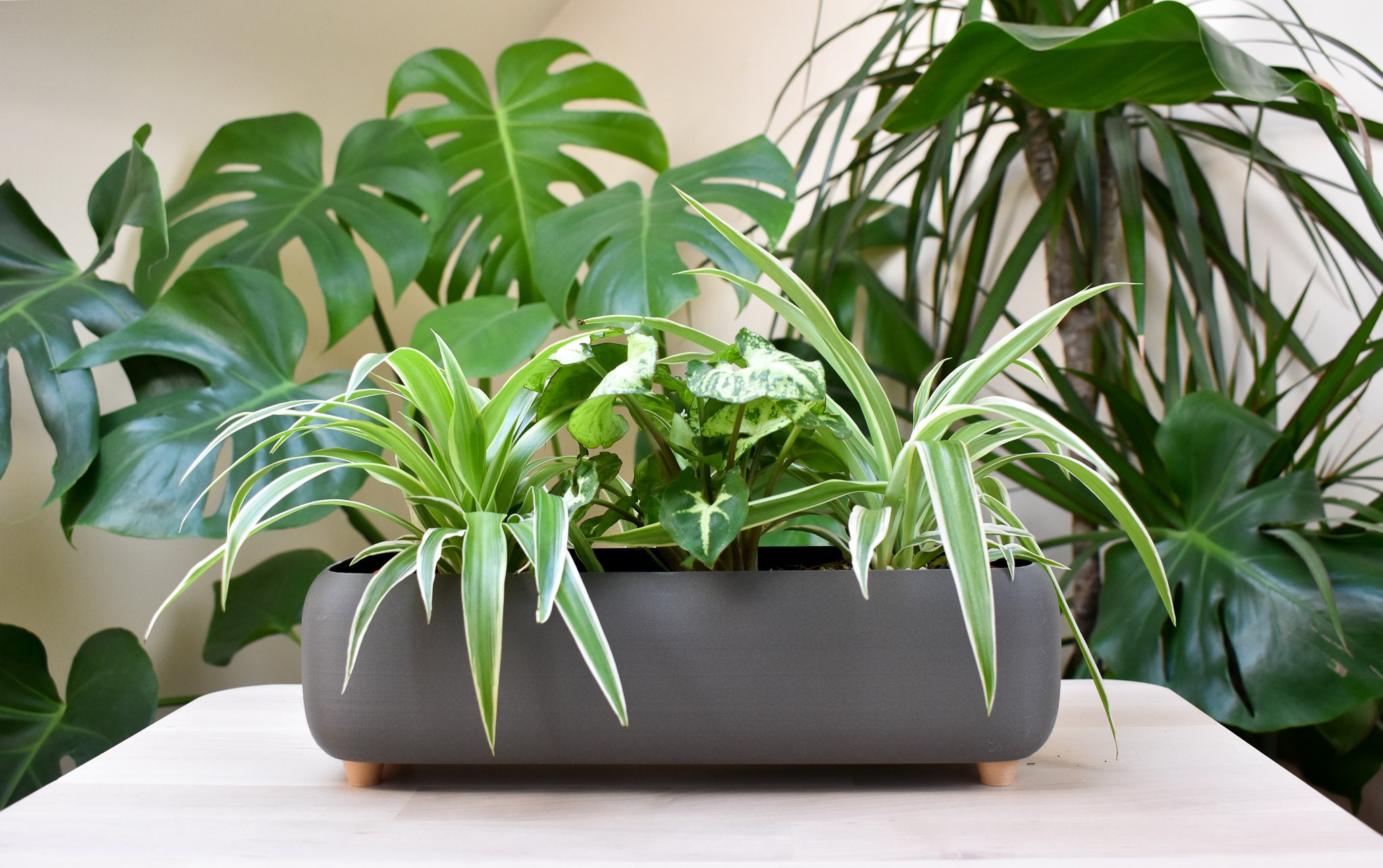 Rounded Rectangular Planter Long Planter Long Plant Pot | Etsy