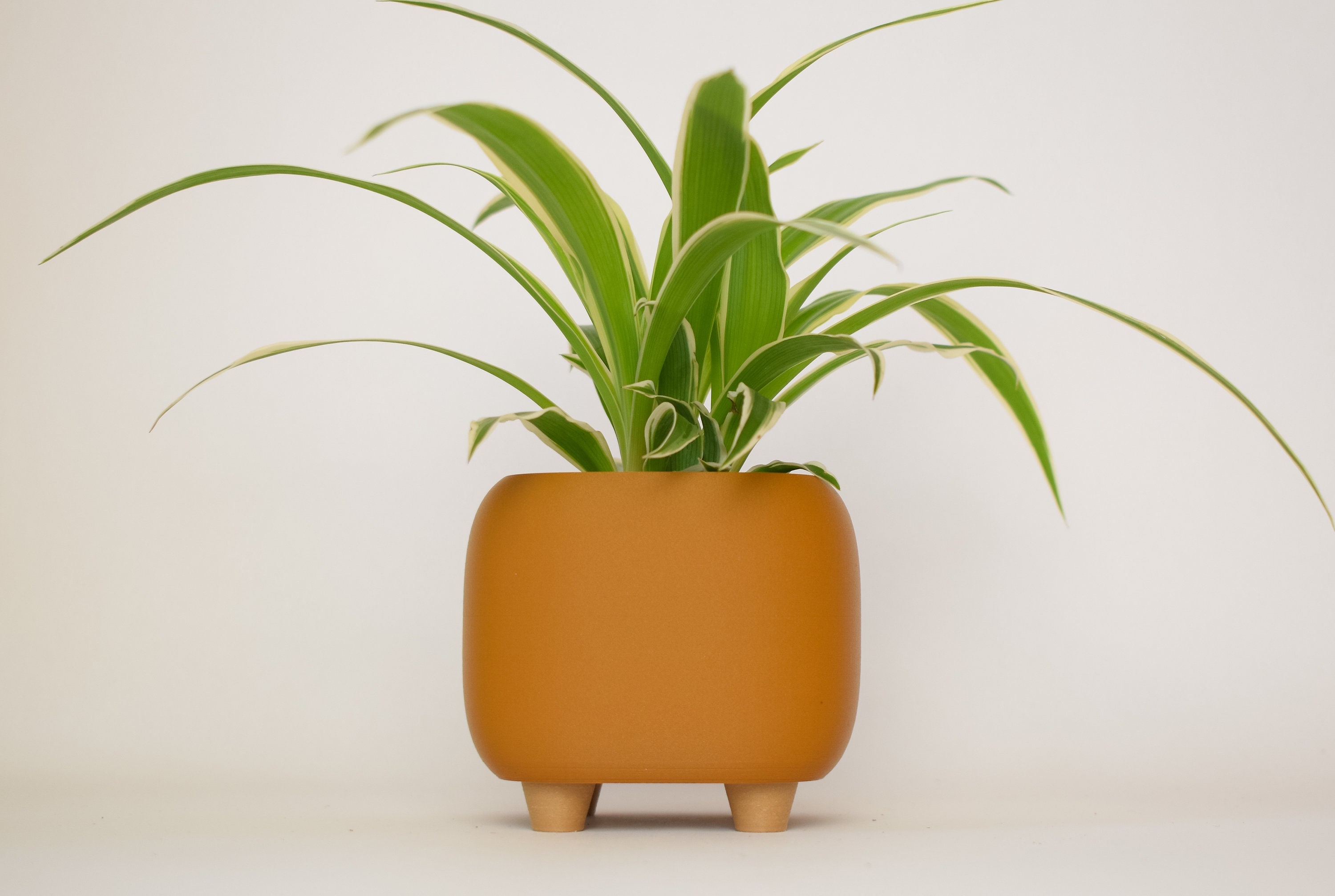 Rounded Cube Pot planter pot with feet coloured pot indoor | Etsy