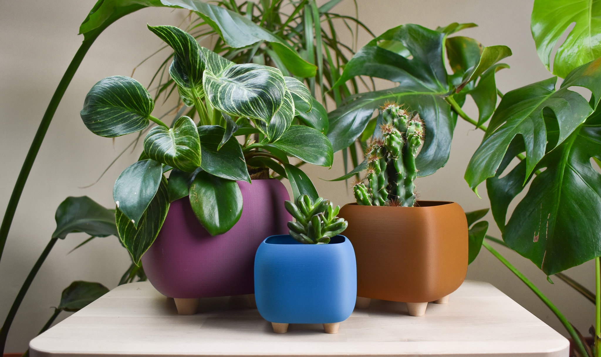 Rounded Cube Pot Planter Pot With Feet Coloured Pot Indoor - Etsy UK