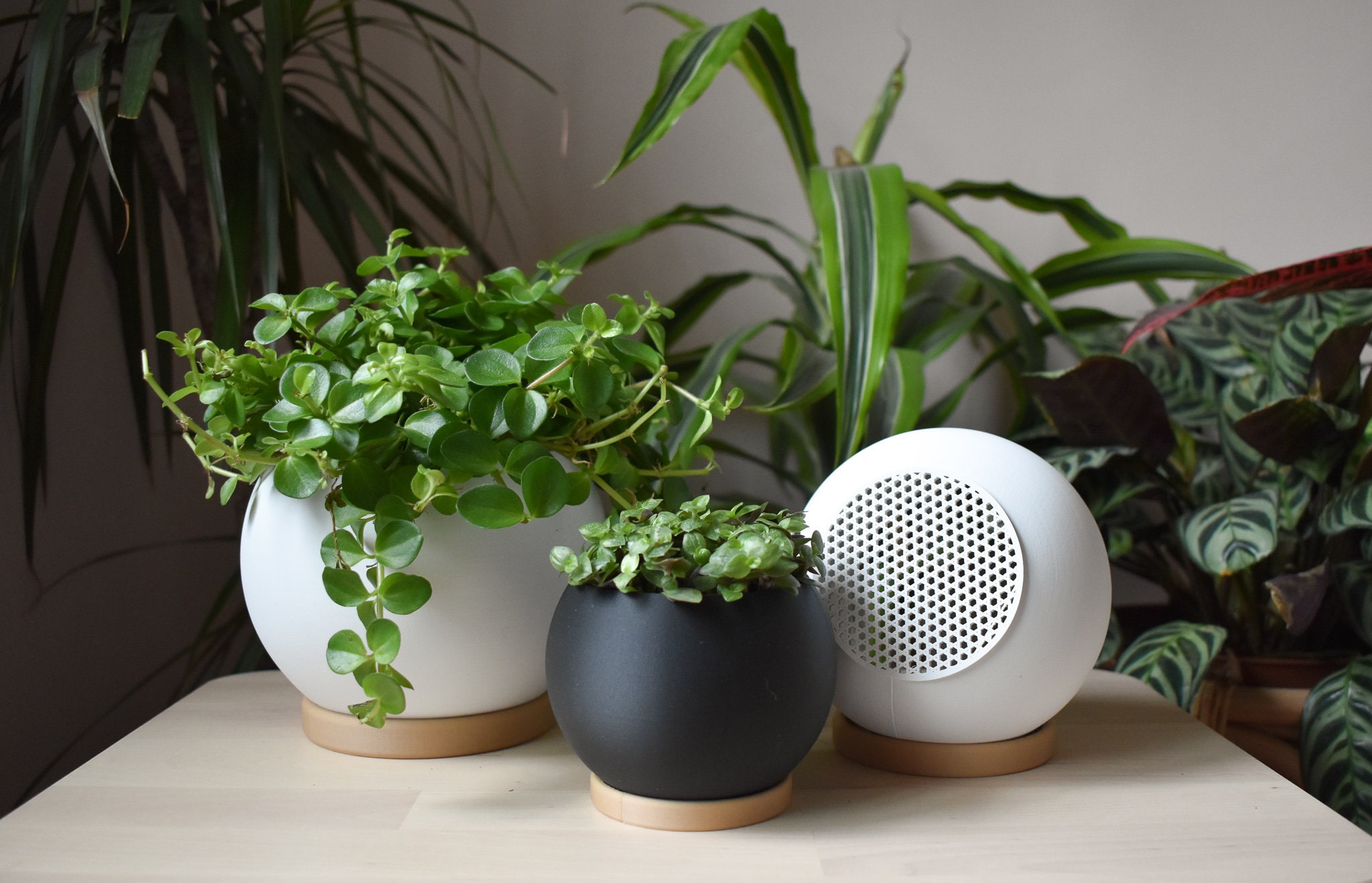 Sphere Planter/pot Plant Pot With Drainage Round Planter | Etsy UK