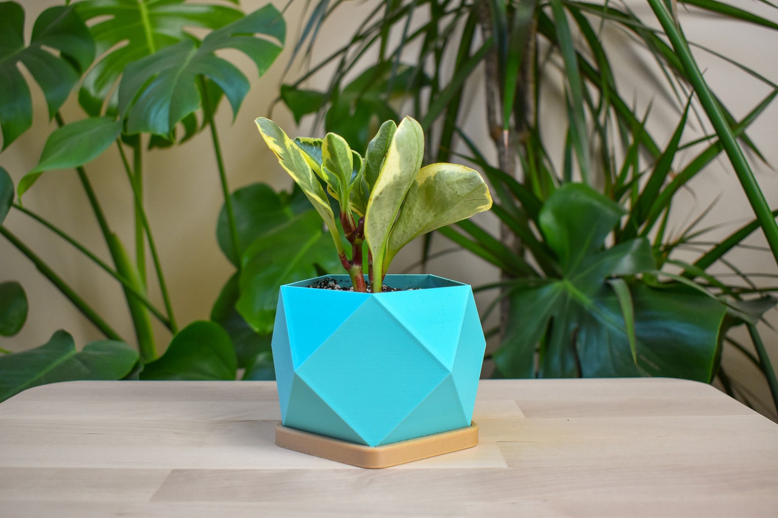 Geometric Pot With Drainage and Wooden Styled Dish. Planter - Etsy UK
